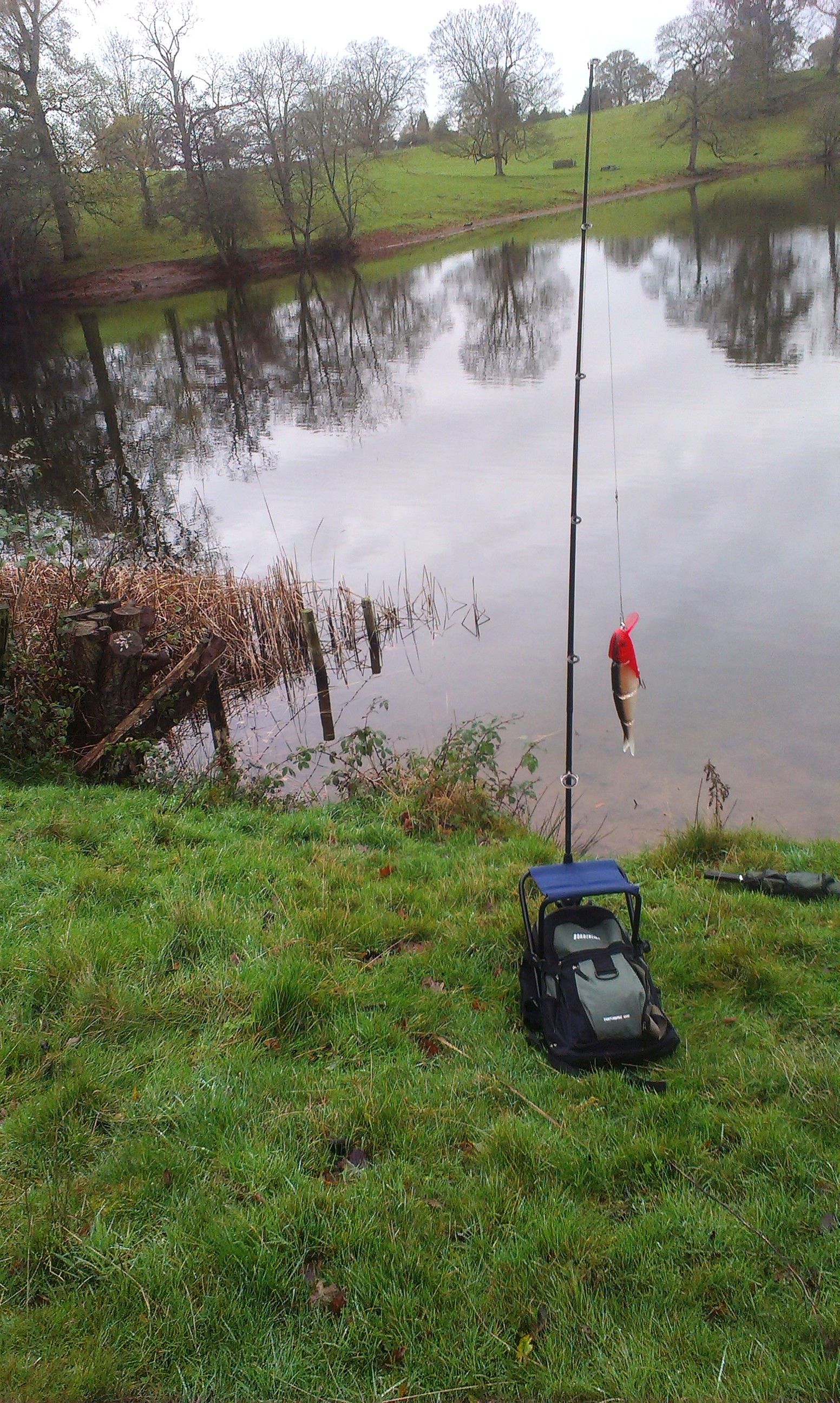 Session 56 – Lured To A Walk Around The Pool – stevetheangler