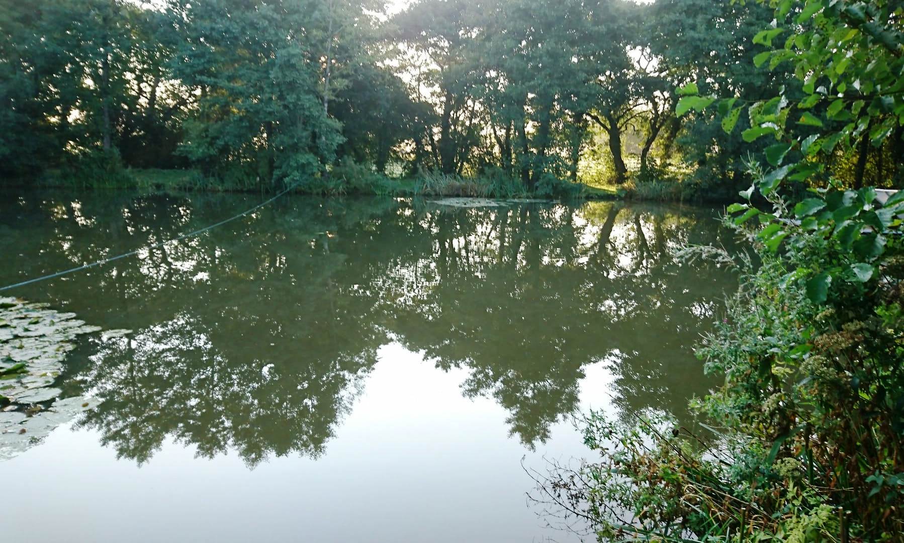 Session 25 – Proper Fish … And Some Carp LOL! – stevetheangler